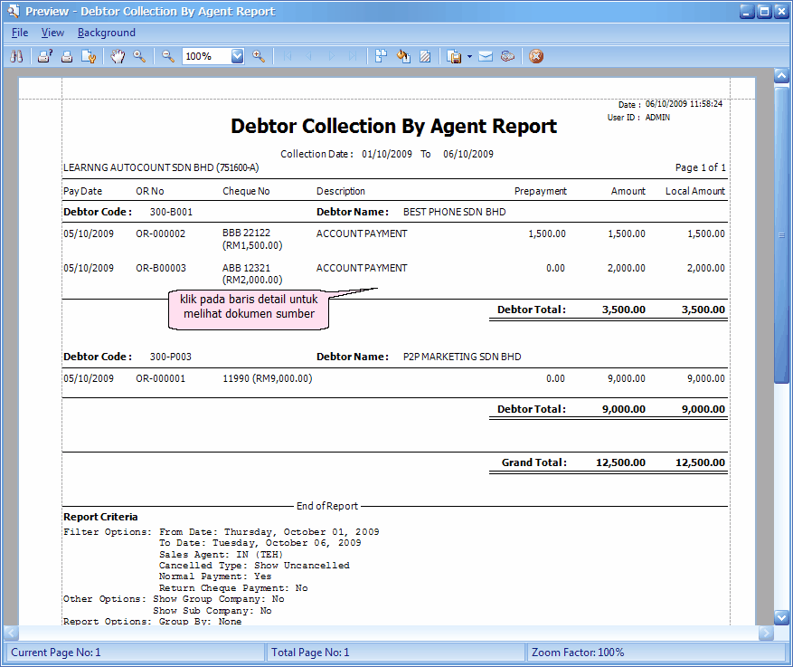 Debtor Collection By Agent Report